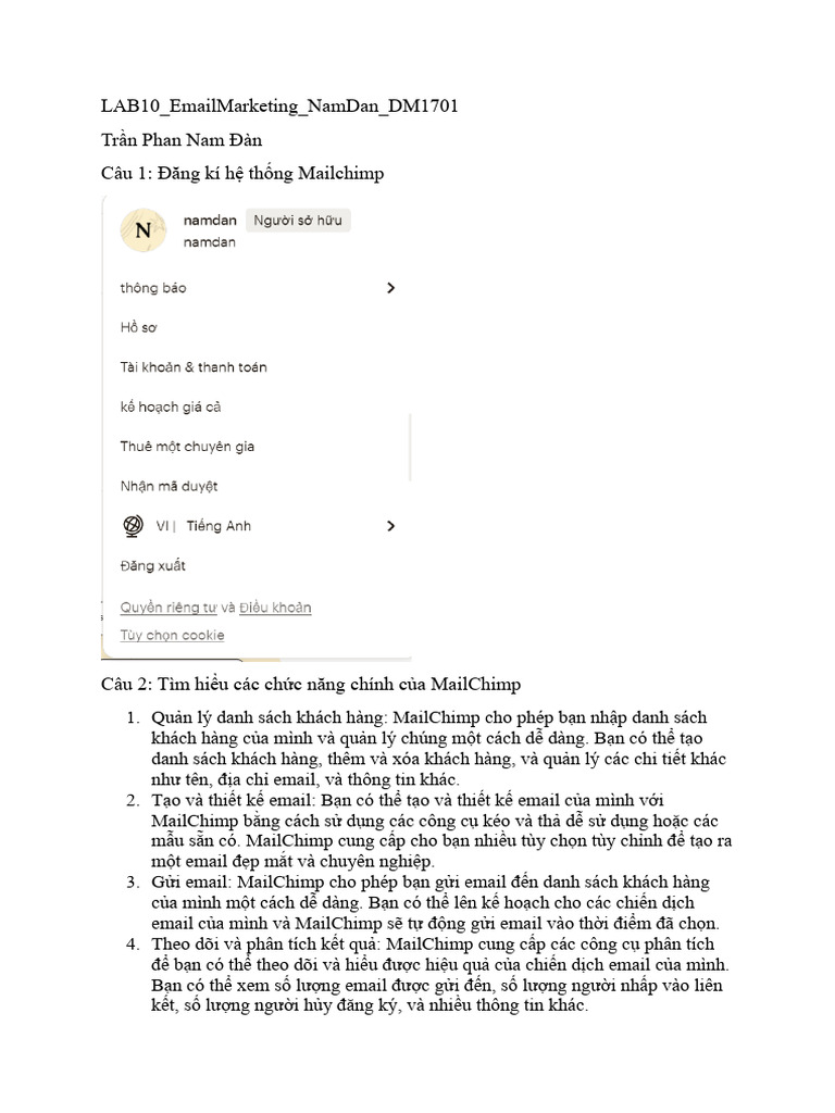 LAB10 EmailMarketing NamDan DM1701 | PDF