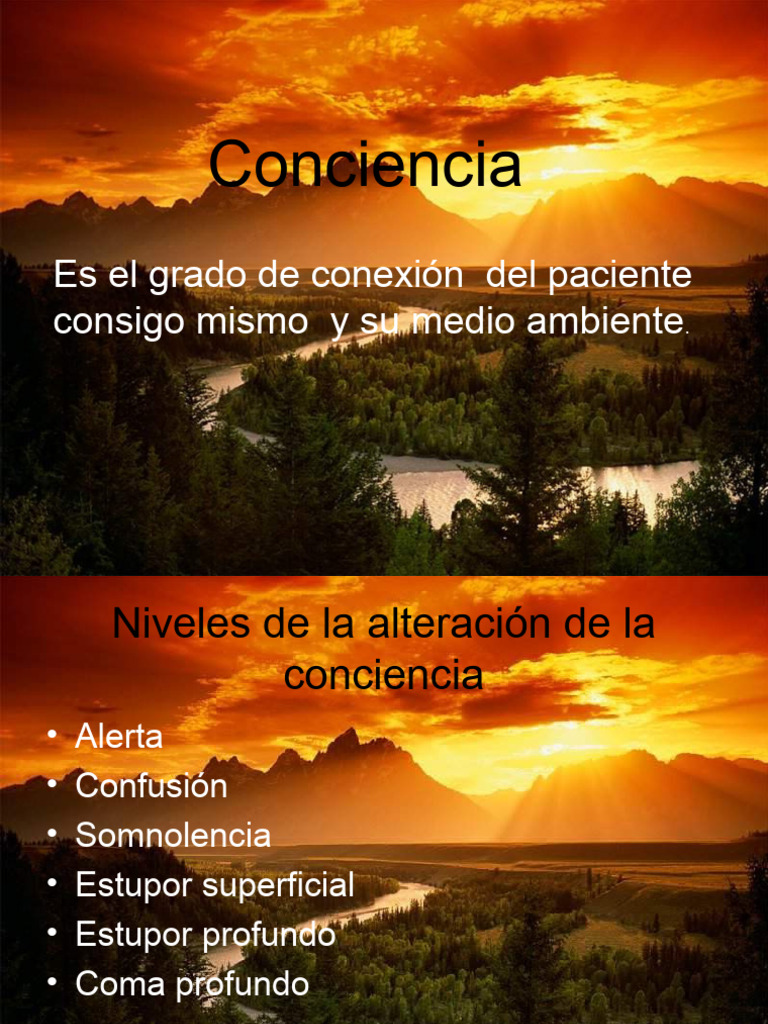 Estupor y Escala de Glasgow | PDF | Coma | Medicina CLINICA