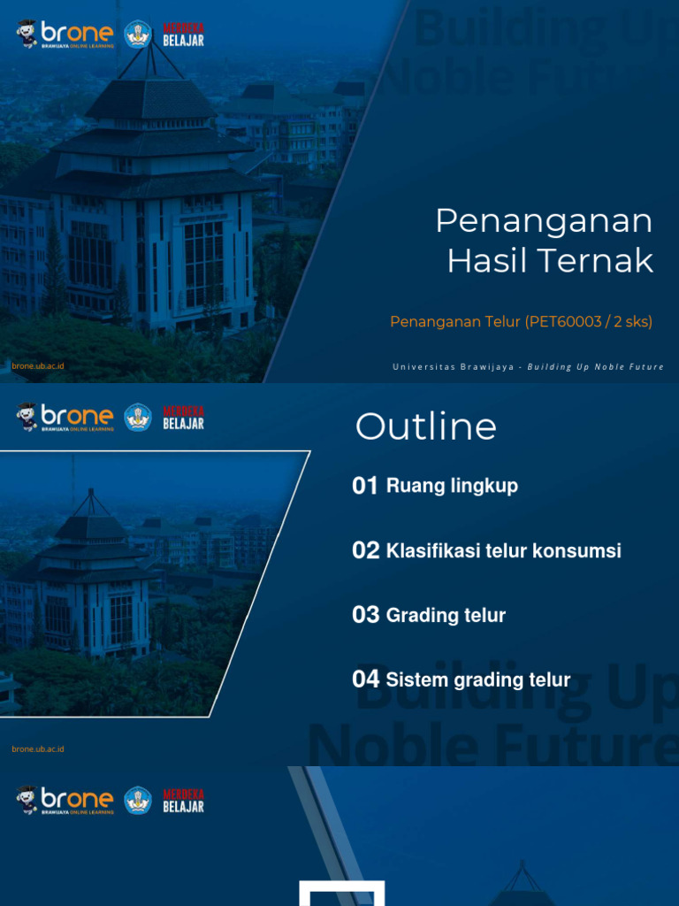 Klasifikasi dan Grading Telur Konsumsi | PDF