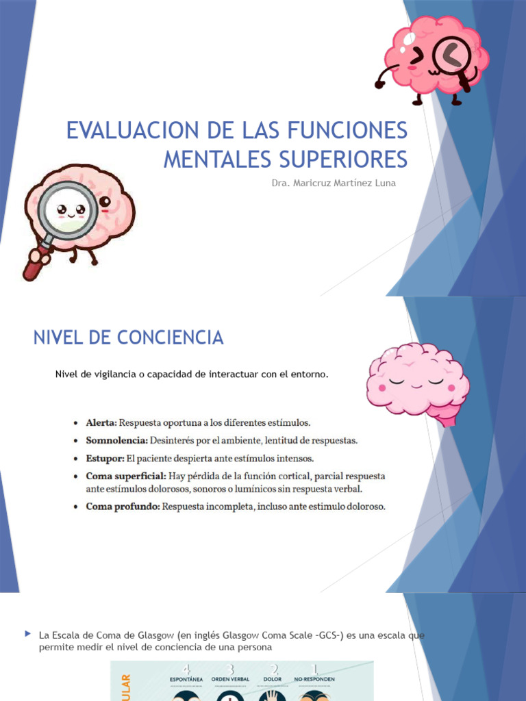 Evaluacion de Las Funciones Mentales Superiores | PDF | Mente | Coma