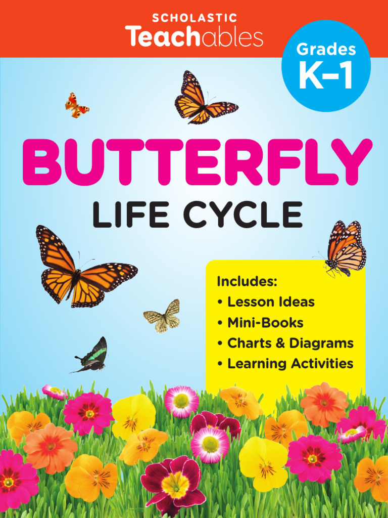 Butterfly Life Cycle | PDF | Butterfly