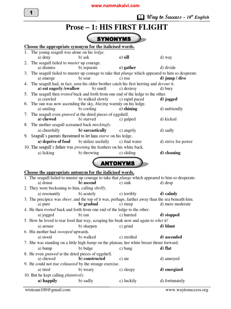 10th English Success Guide: His First Flight | PDF