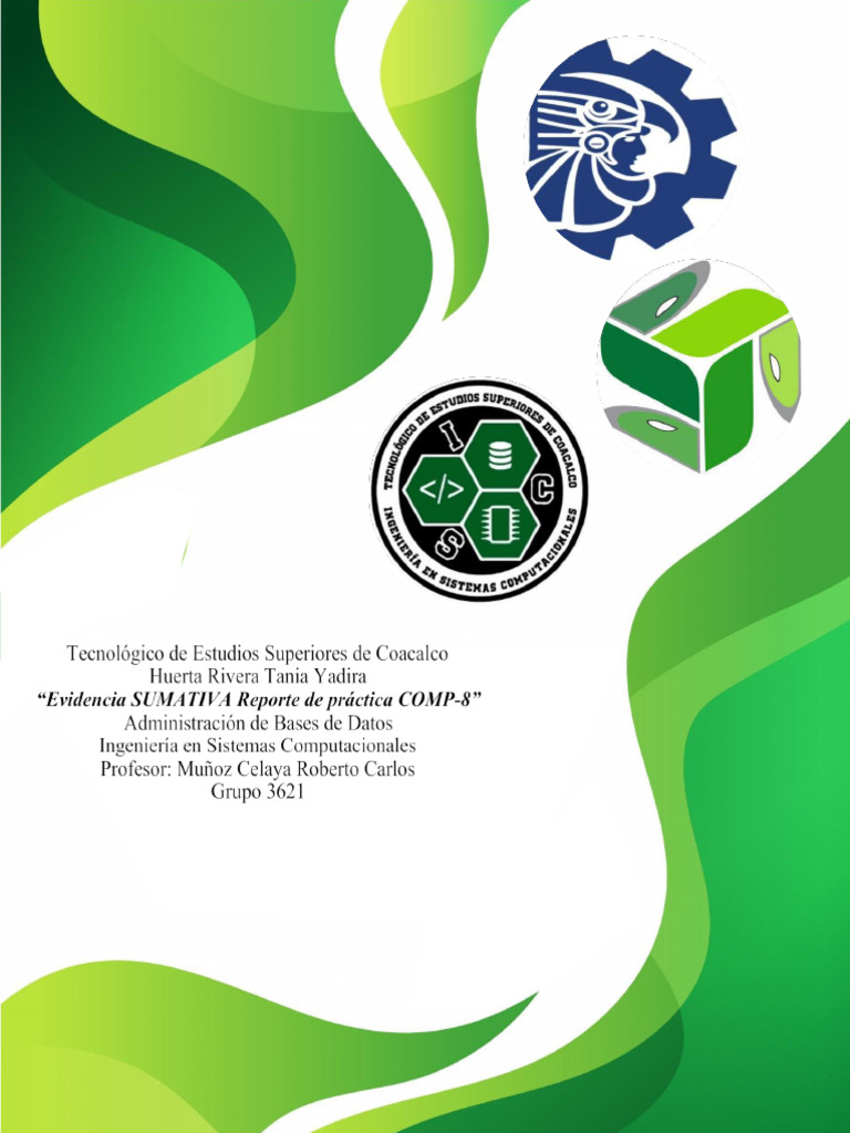 Evidencia SUMATIVA Reporte de Práctica COMP-8 | PDF | Servidor SQL de Microsoft | Bases de datos