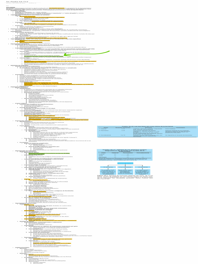 5C Pedia S3 T12 | PDF