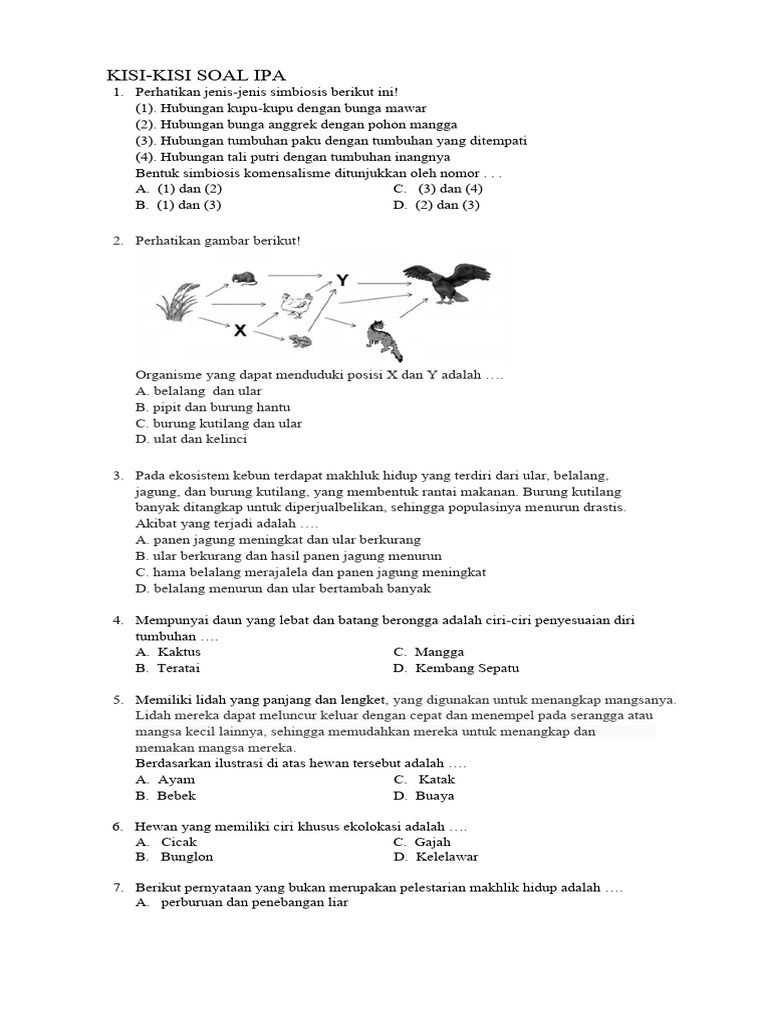 Try Out Ipa 2024 | PDF