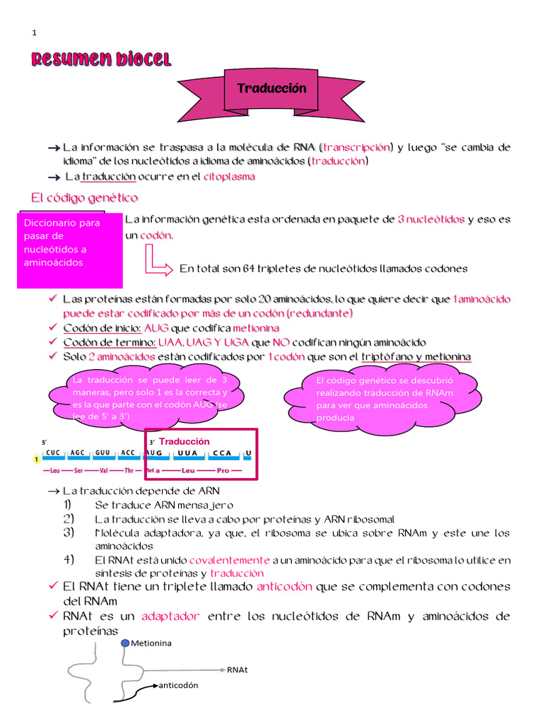 Resumen Biocel | PDF | Traducción (biología) | Trifosfato de adenosina