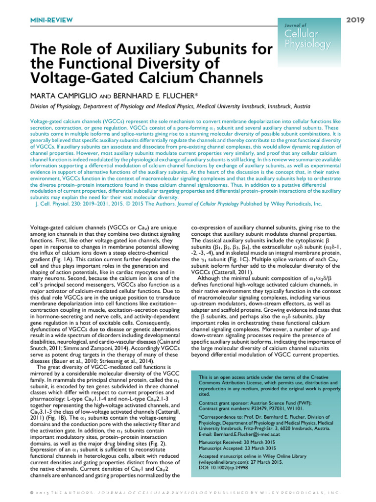 Calcium Channel Subunit Diversity | PDF | Cell Signaling | Protein ...