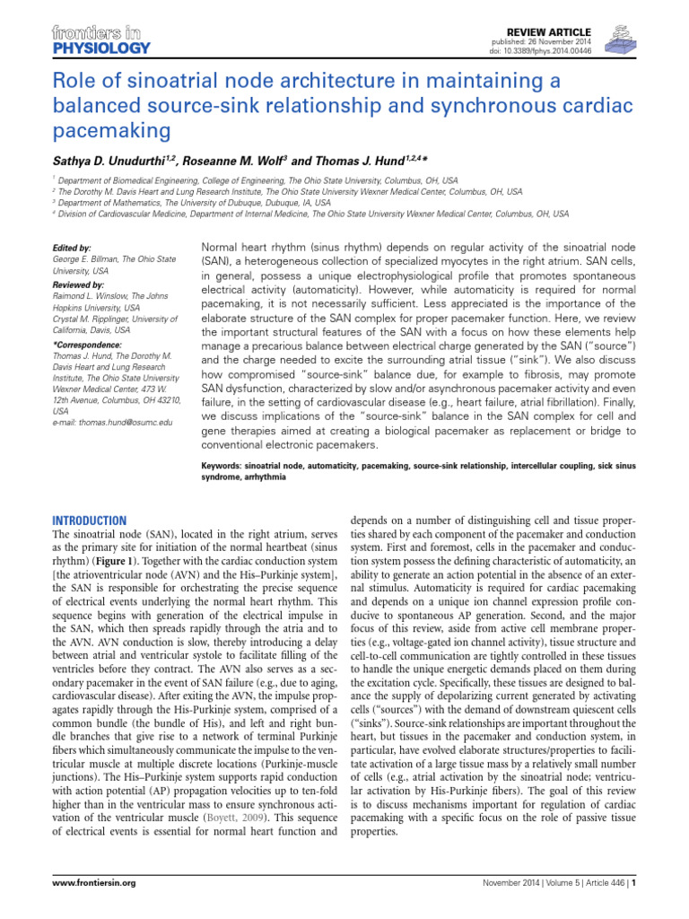 Sinoatrial Node's Role in Heart Rhythm | PDF | Heart | Atrium (Heart)