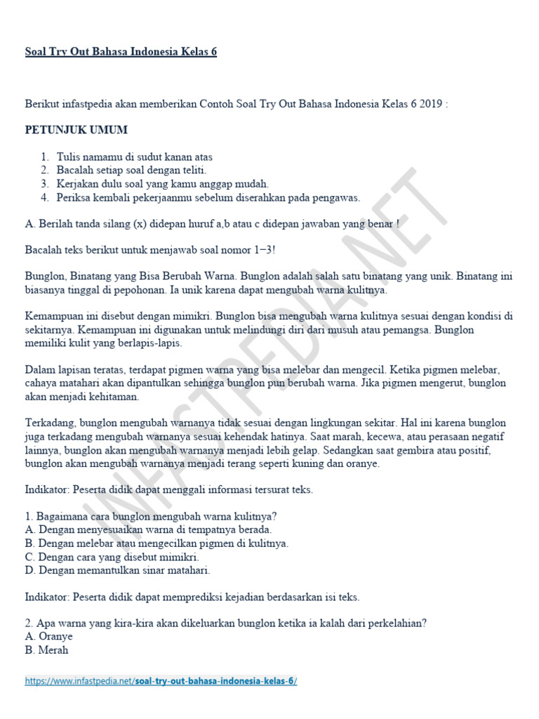 Soal Try Out Bahasa Indonesia Kelas 6 | PDF | Karier & Perkembangan | Seni & Disiplin Bahasa