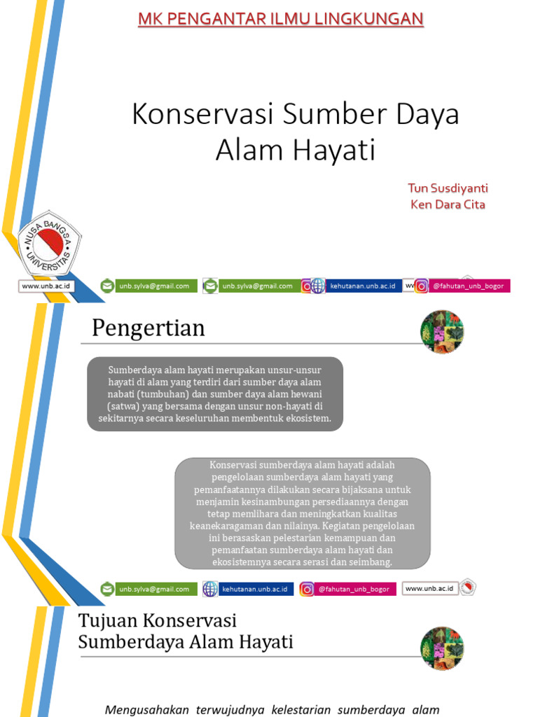 Materi KSH Copy 1 | PDF
