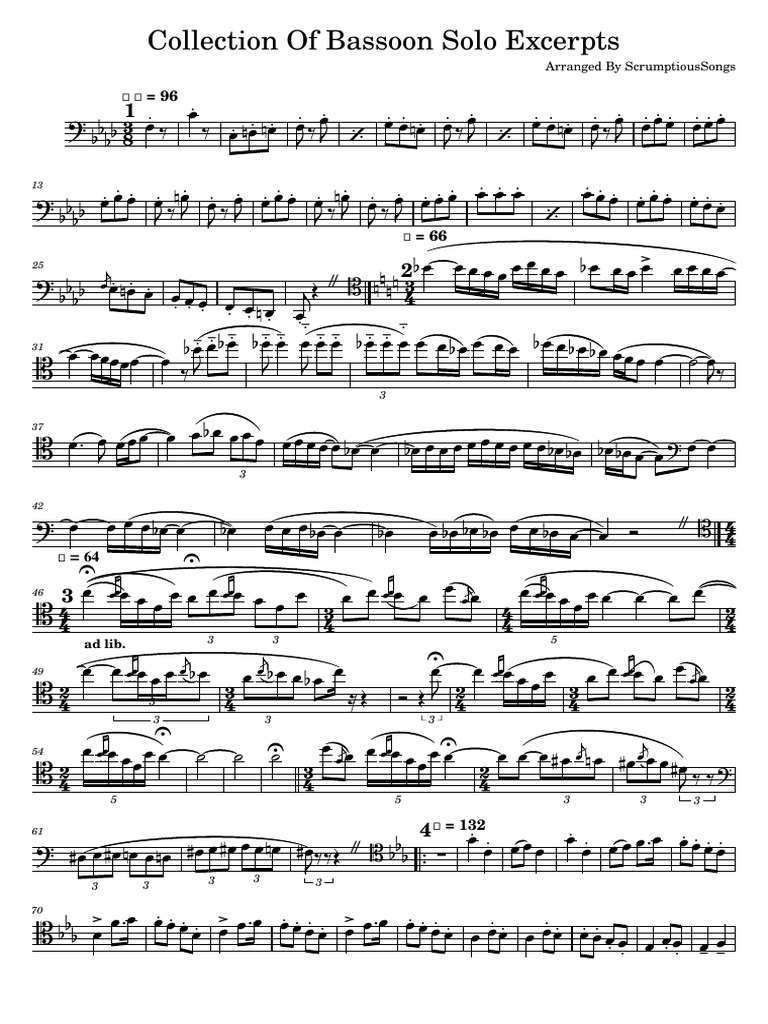 Various Classical Bassoon Solo Excerpts | PDF