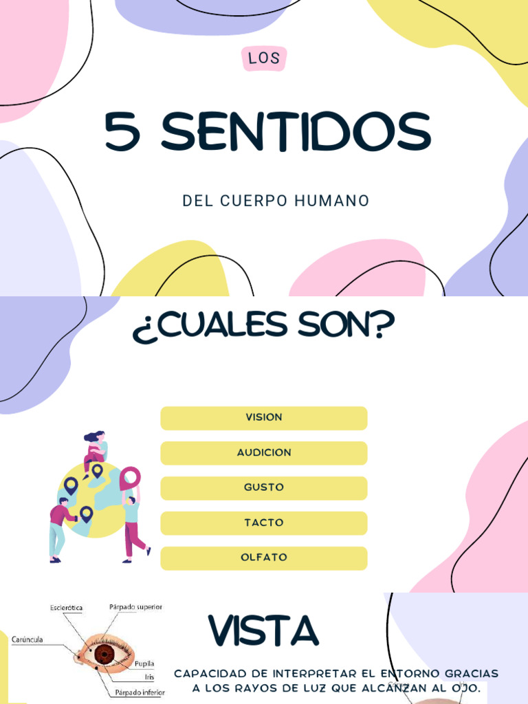 5 Sentidos | PDF | Percepción visual | Sentidos