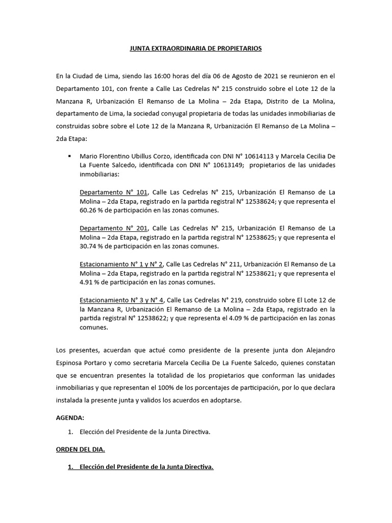 Junta. Extraordinaria de Propietarios | PDF | Gobierno