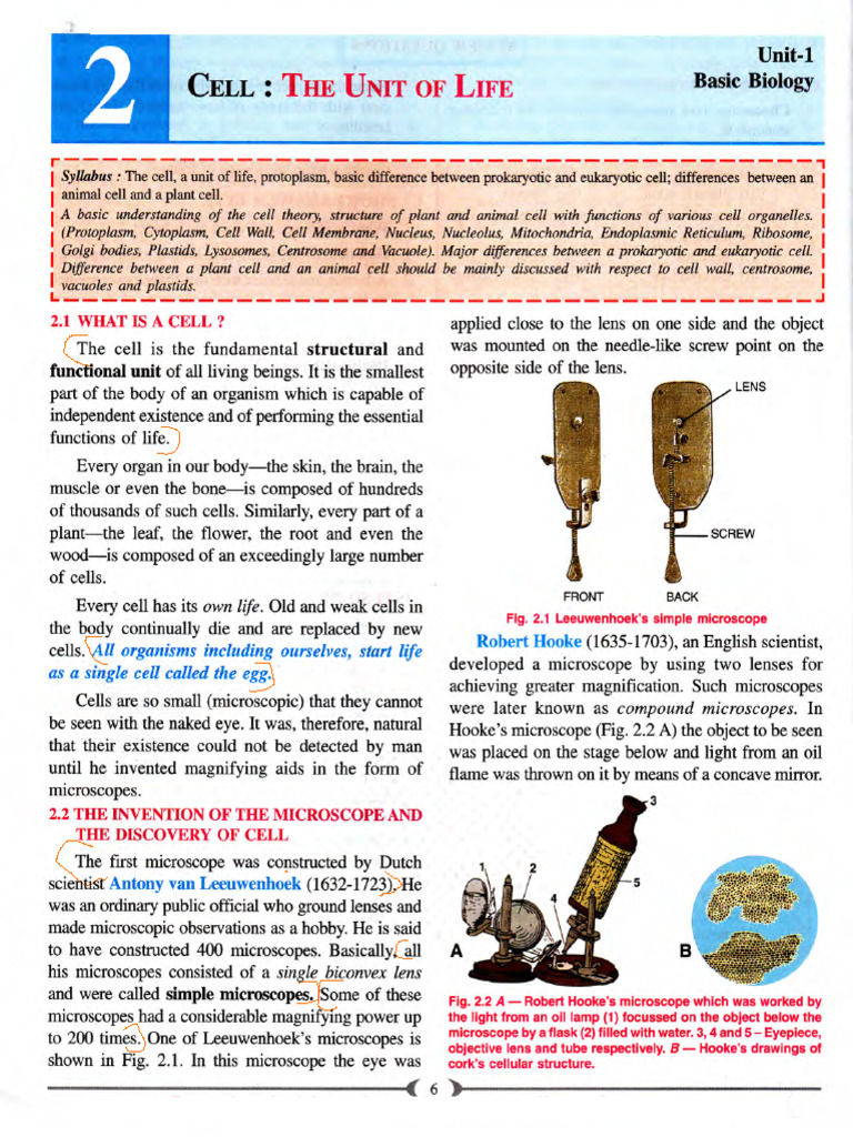 Icse Class 9 Biology Chapter 2 Cell The Unit of Life | PDF
