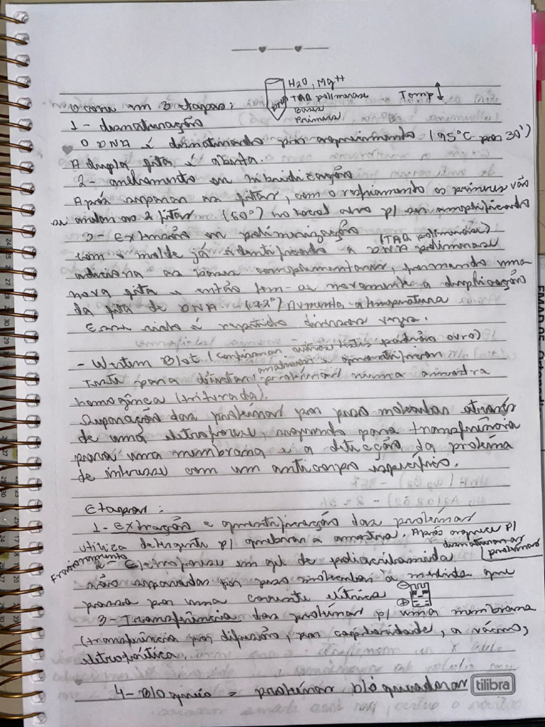 Revisão Genética pg4 | PDF