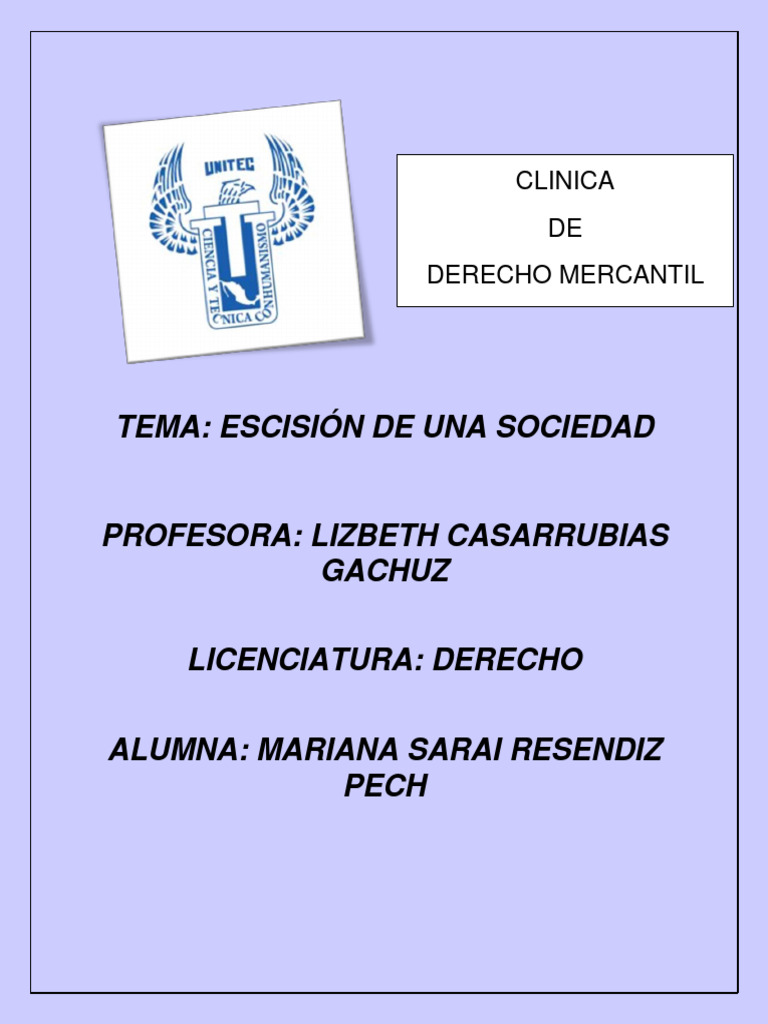 Entregable 1 | PDF | Bienes (Ley) | Sociedad de responsabilidad limitada
