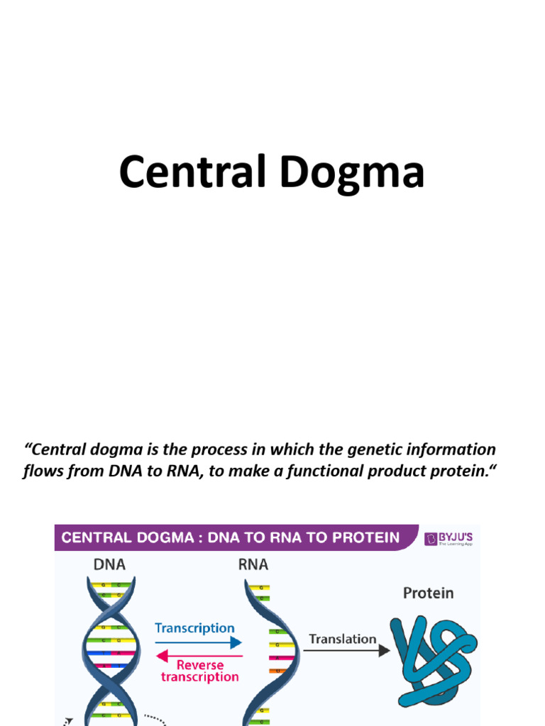 Central Dogma | PDF