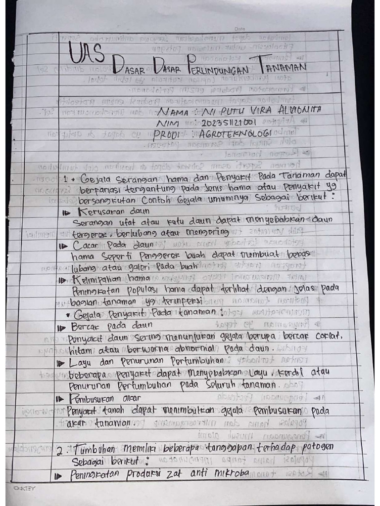 UAS DDPT Vira alvionita | PDF