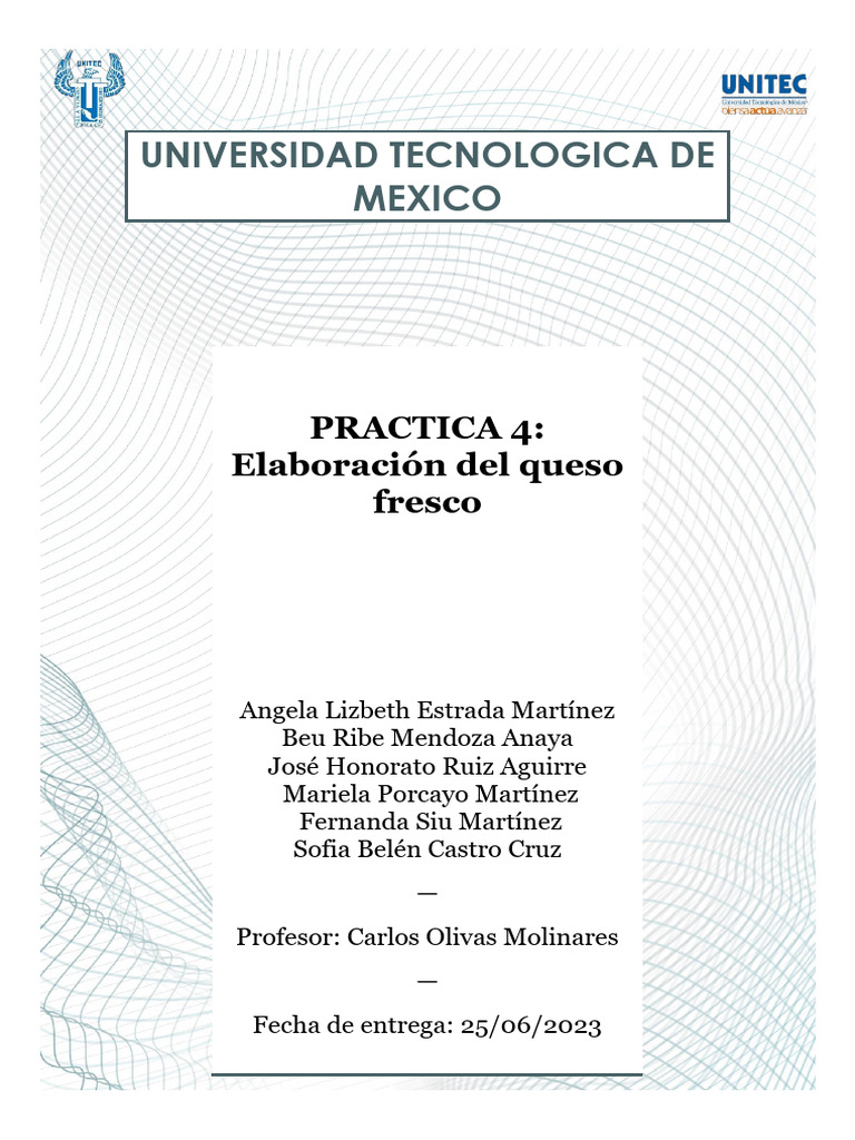 Practica 4 | PDF | Queso | Leche