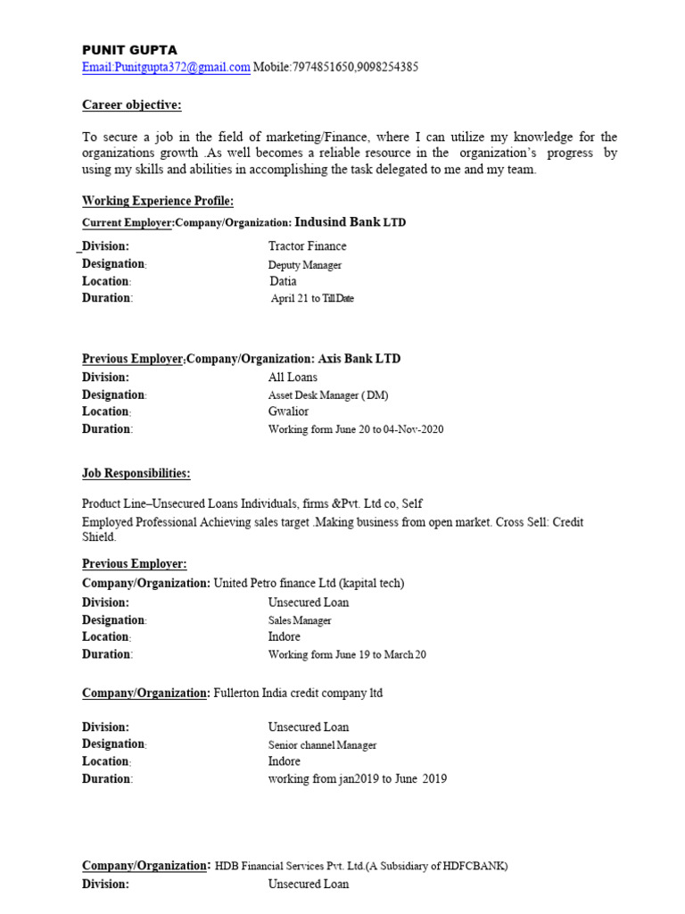 Puneet Gupta PDF Resume | PDF | Loans | Business