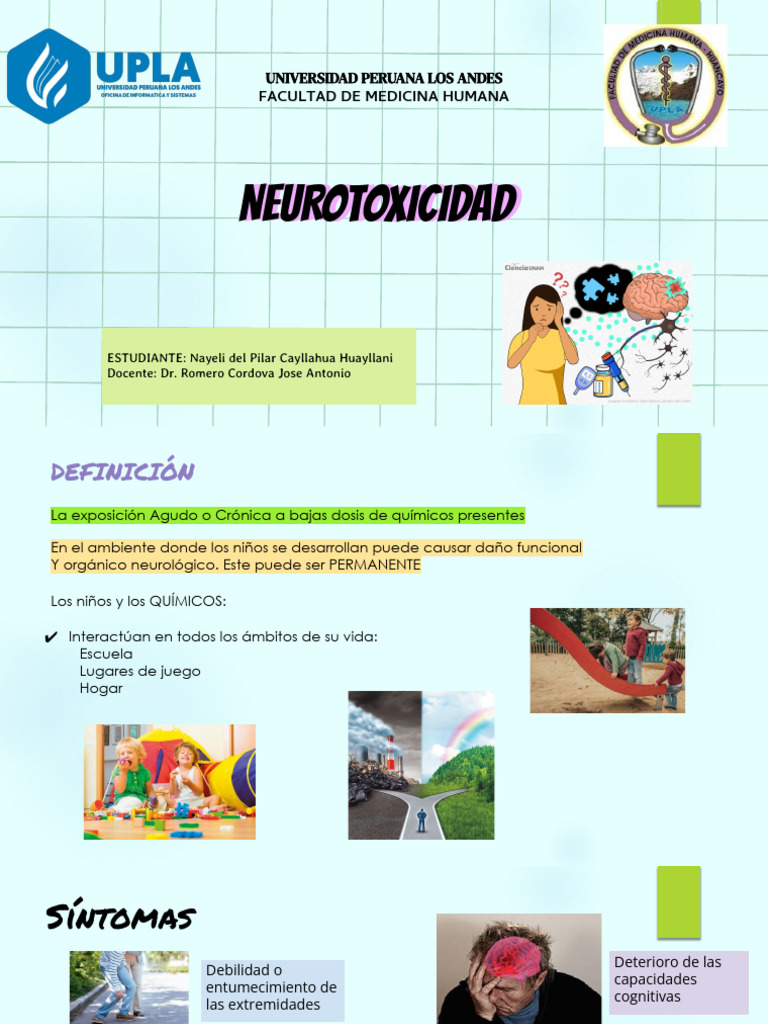 Neurotoxicidad | PDF | Enfermedades y trastornos | Medicina CLINICA