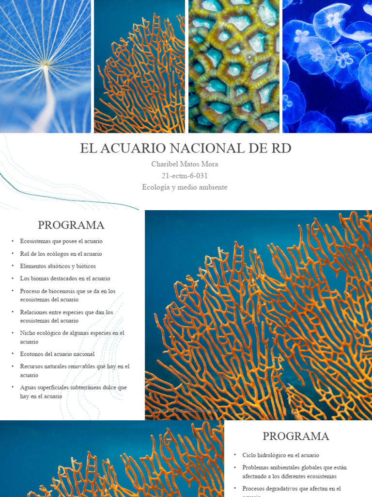 EL Acuario Nacional de RD | PDF | Ciencia y matemáticas