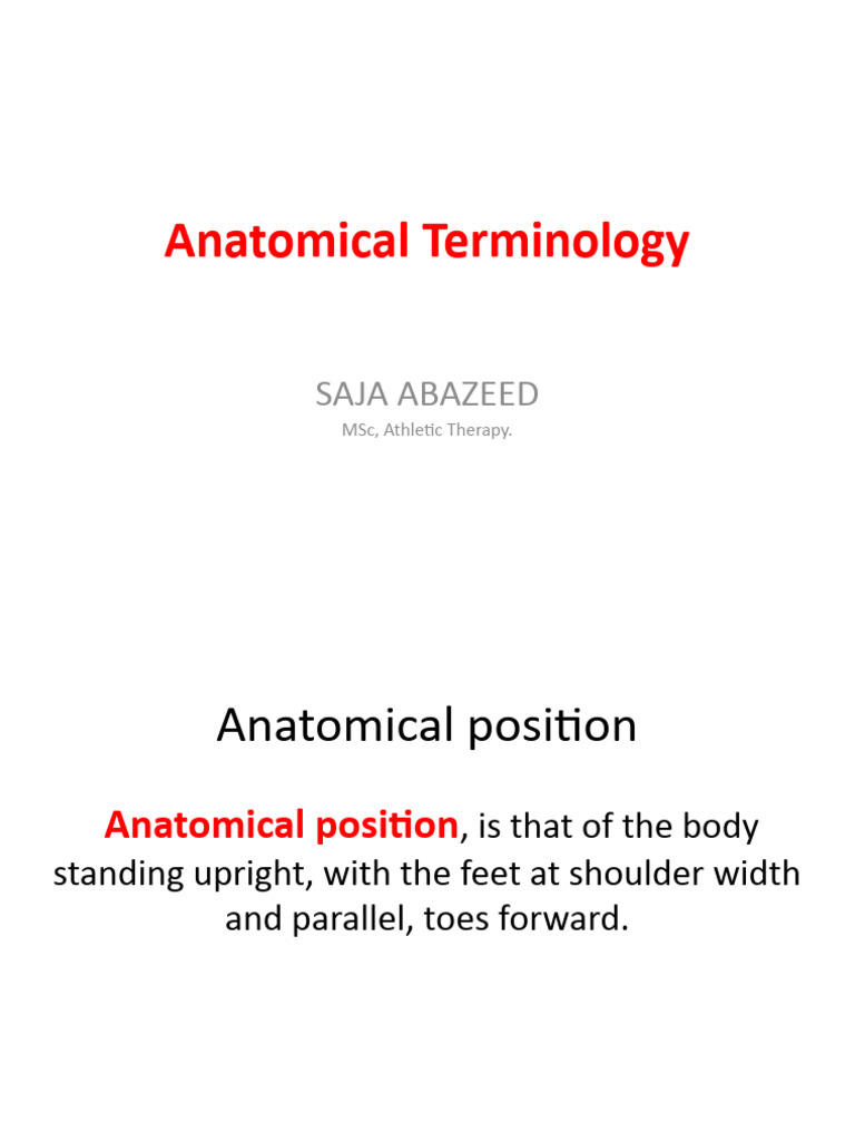 Anatomical Terminology | PDF