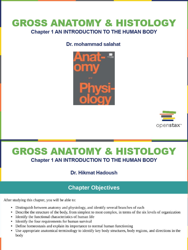 Introduction to Human Anatomy & Physiology | PDF | Anatomical Terms Of ...