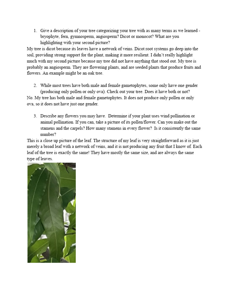 ENT Project Pt. 4 | PDF