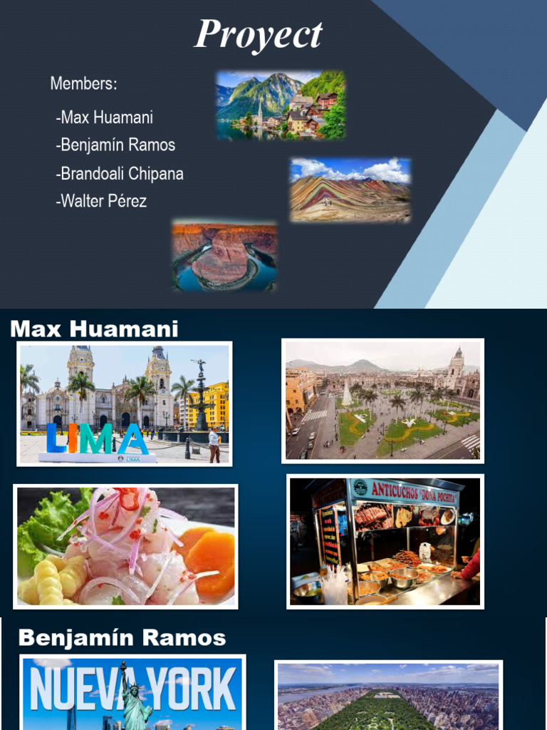 Proyect Basic 9 | PDF