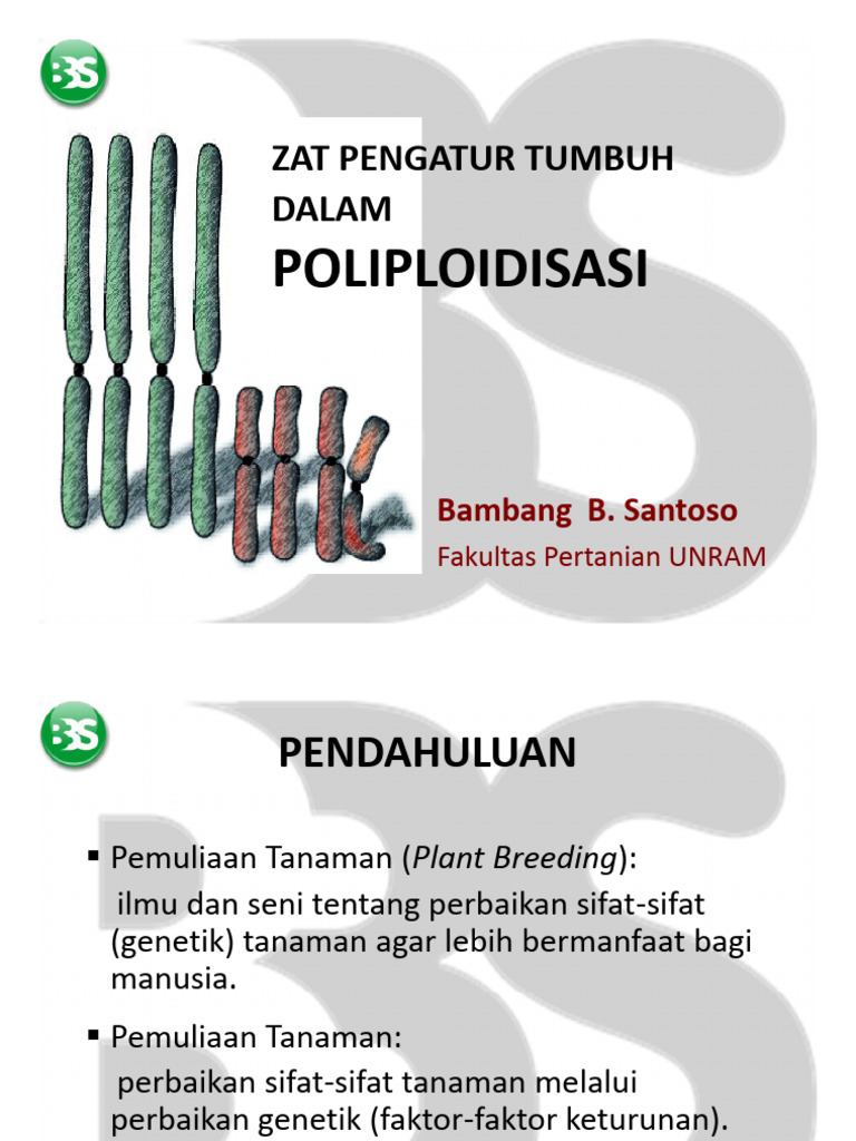 Poliploidisasi Tanaman dengan Kolkisin | PDF