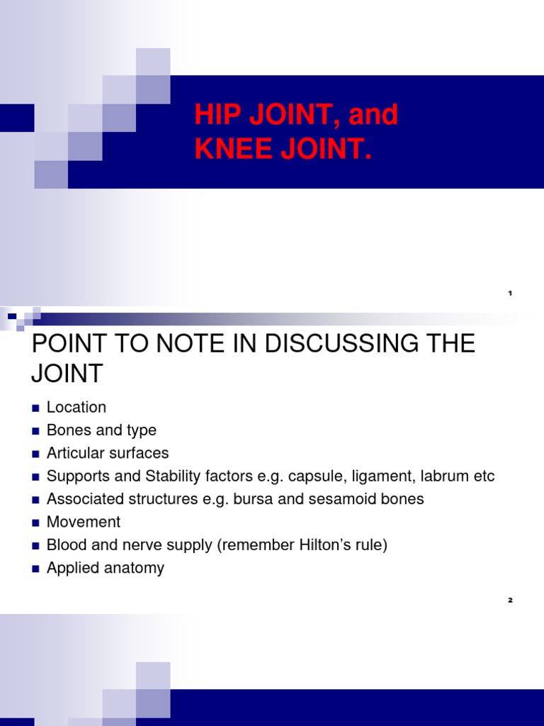Hip Knee and Ankle Joint MBBS 2024 | PDF