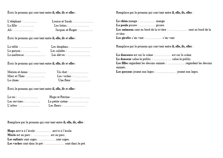 Exercices Français CP Pronom Il, Elle, Ils, Elles | PDF