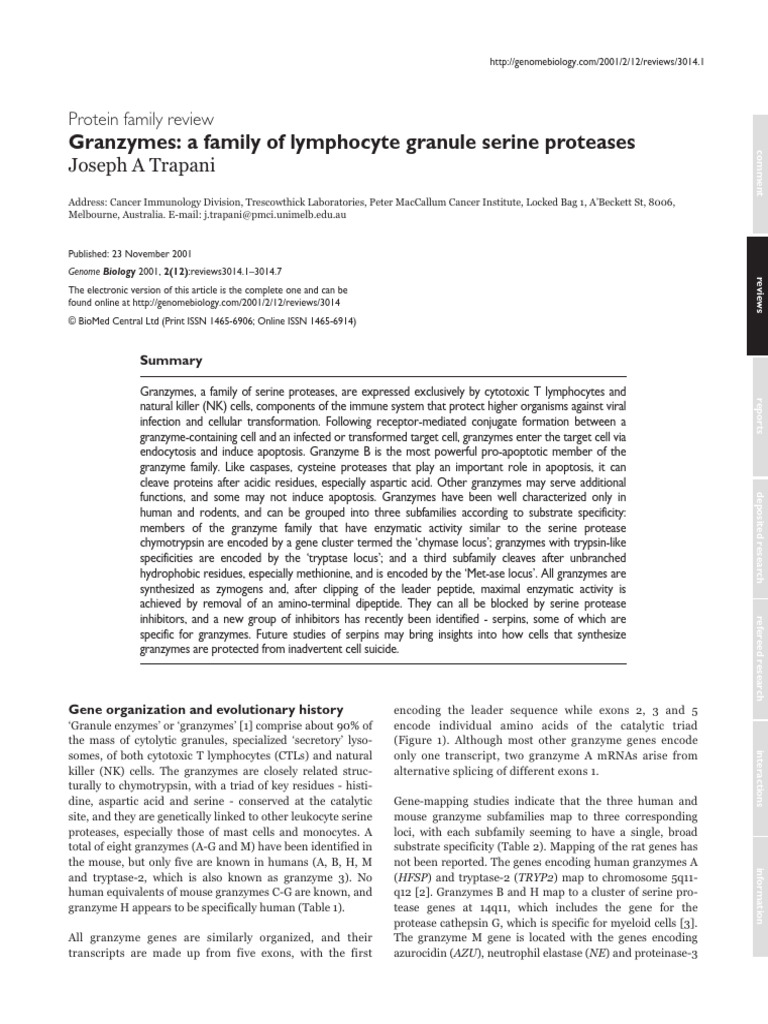 Granzymes: A Family of Lymphocyte Granule Serine Proteases | PDF ...