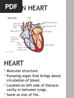 Human Heart Structure Overview | PDF