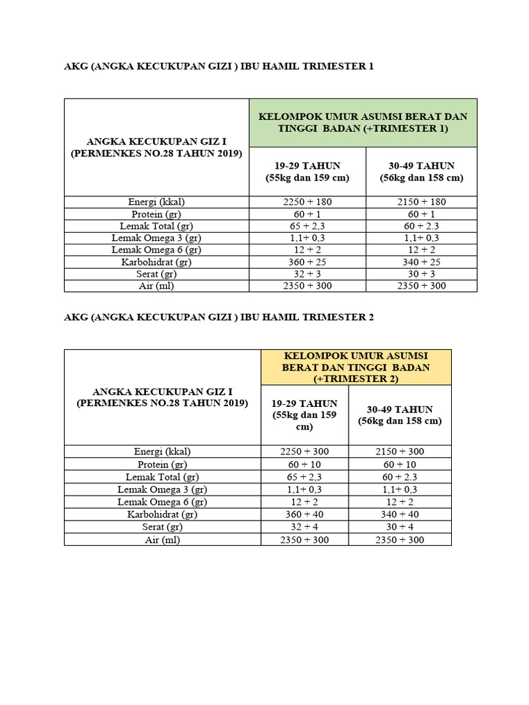 Akg Dan Menu Ibu Hamil | PDF