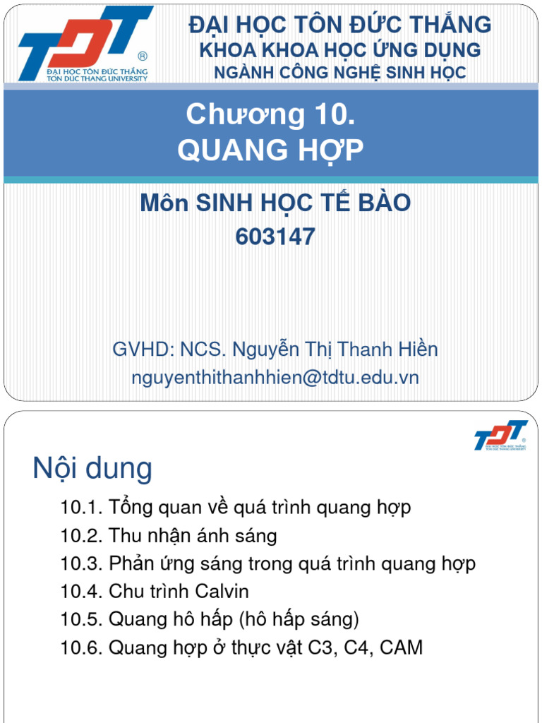 Chương 10 Quang H P | PDF