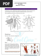 Cockroach Ncert | PDF