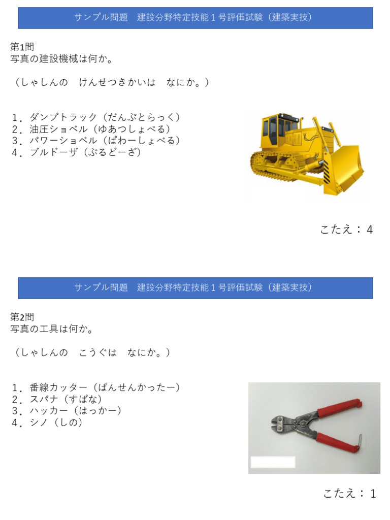 N.ab - Sample Questions-Practical Skills Test | PDF