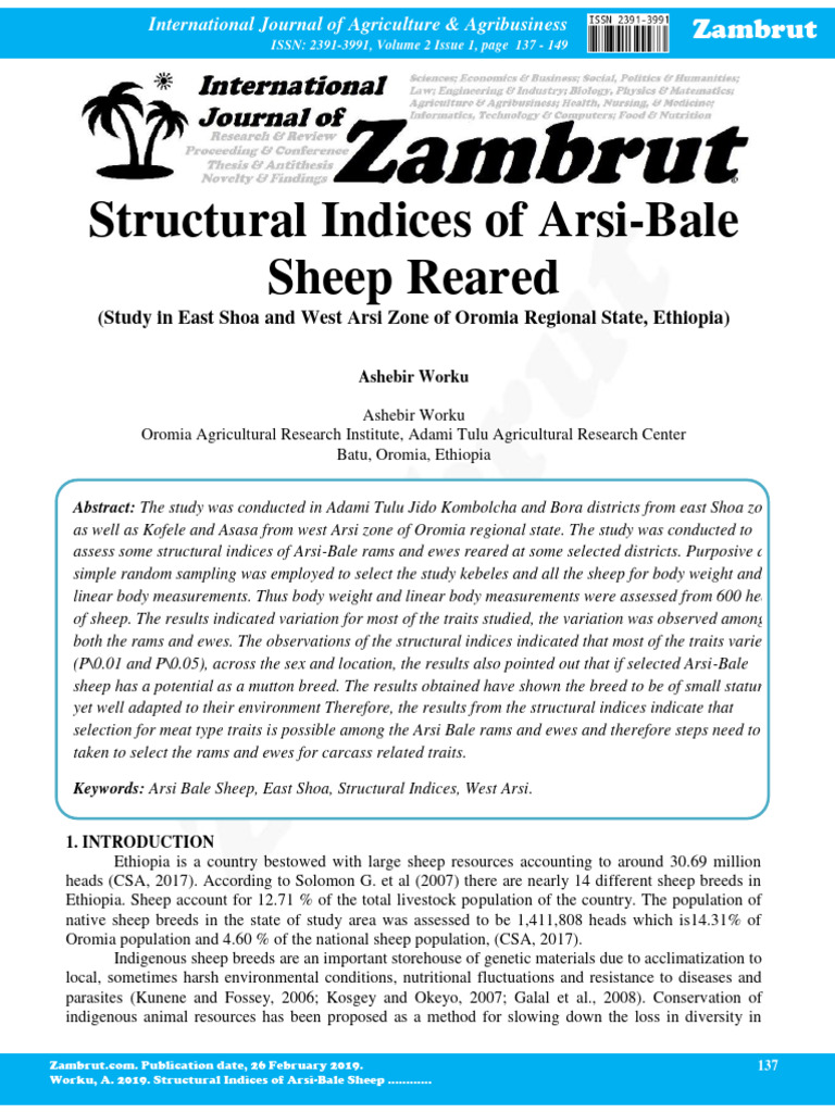 Ashebir Structural Index | PDF