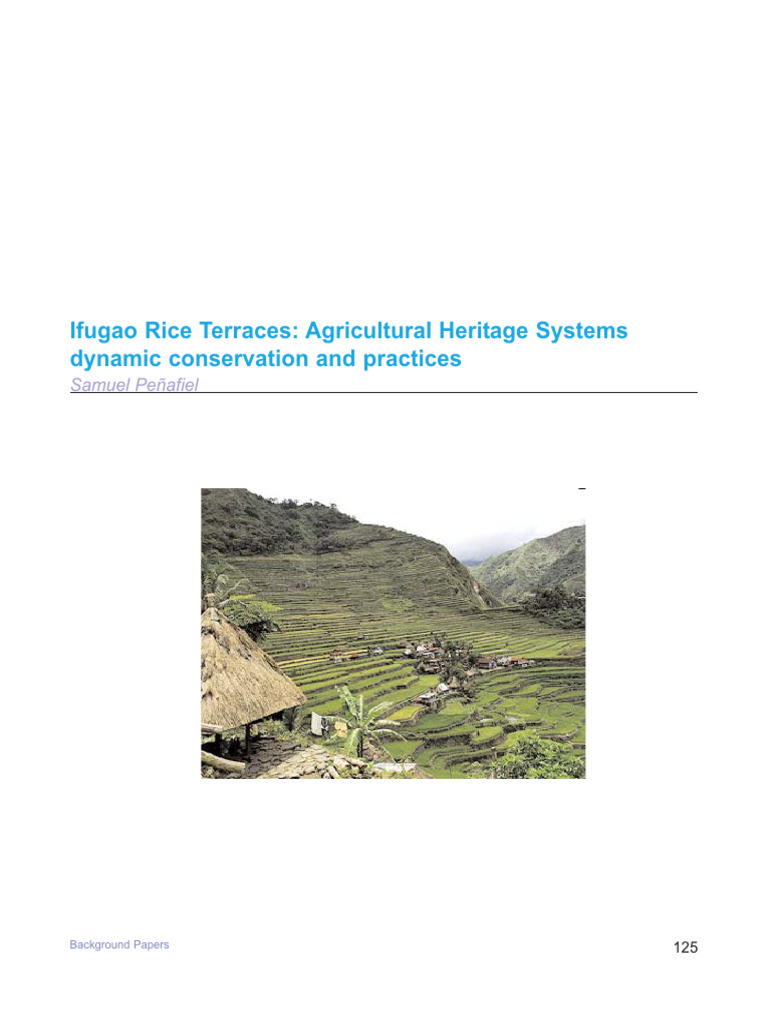 Rice Terraces | PDF | Science & Mathematics | Technology & Engineering