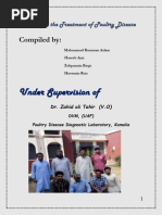 Poultry Medicine Guide & Chart | PDF | Medical Diagnosis | Health Sciences