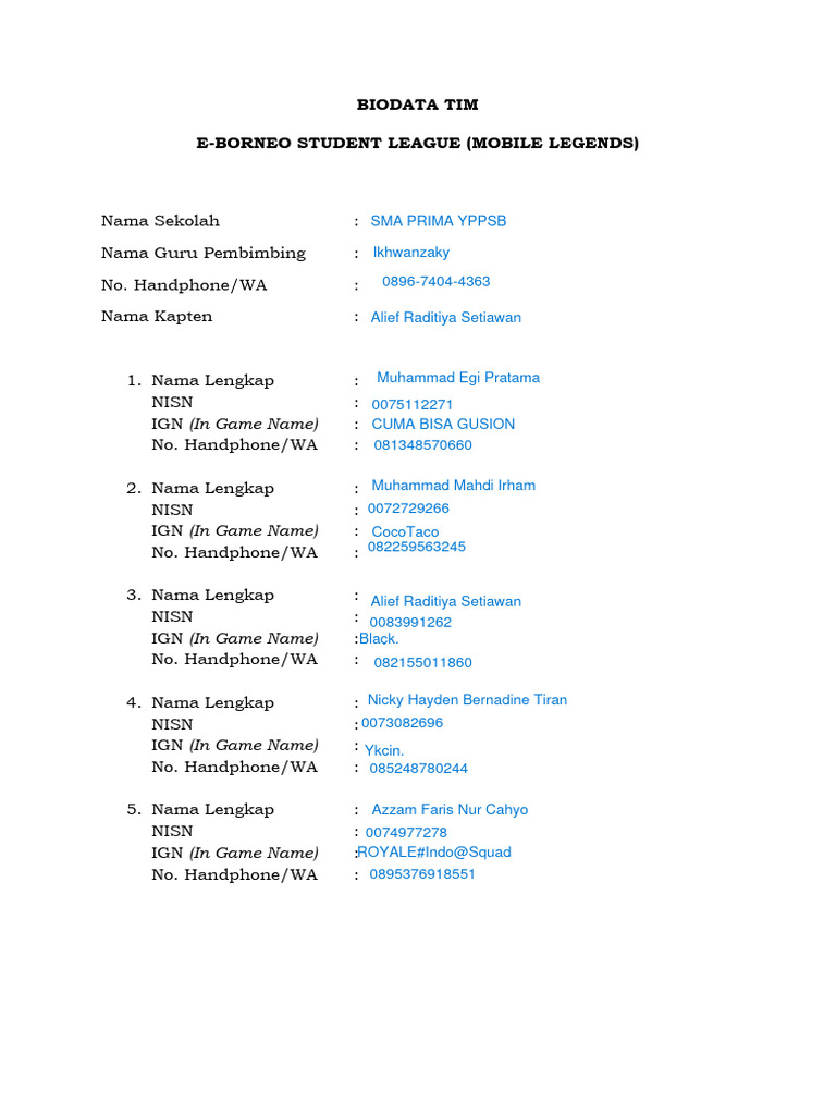 Biodata Tim E-Borneo MLBB | PDF