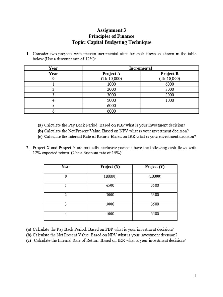 Assignment 3 Capital Budgeting Technique | PDF