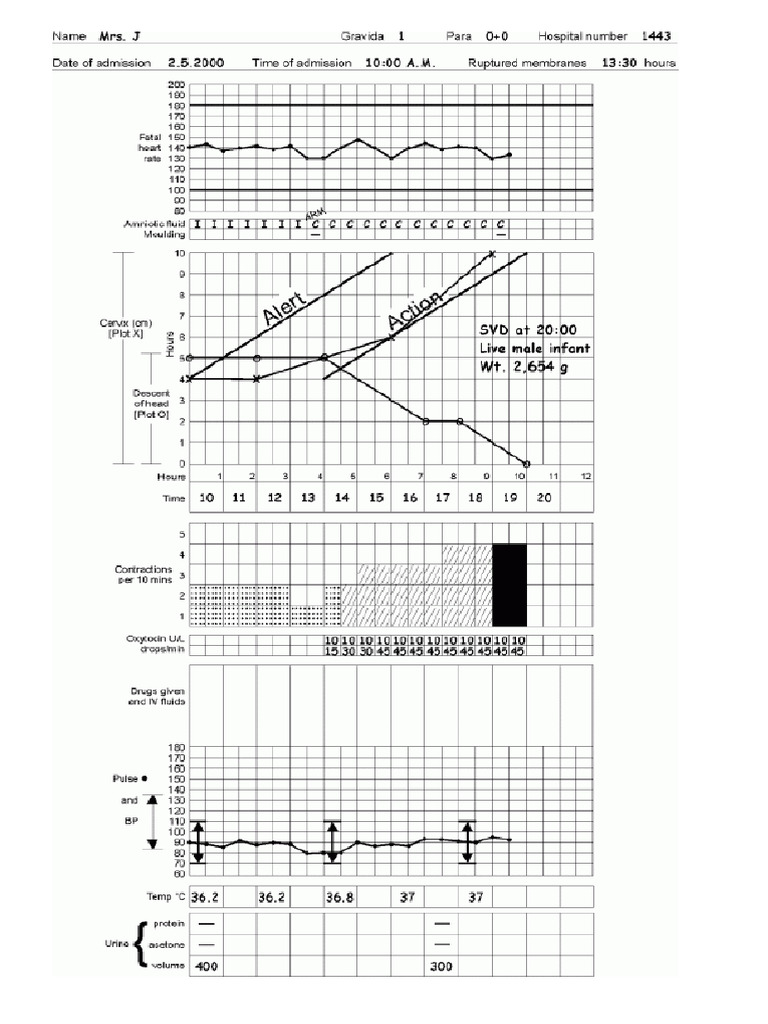 Patograf | PDF
