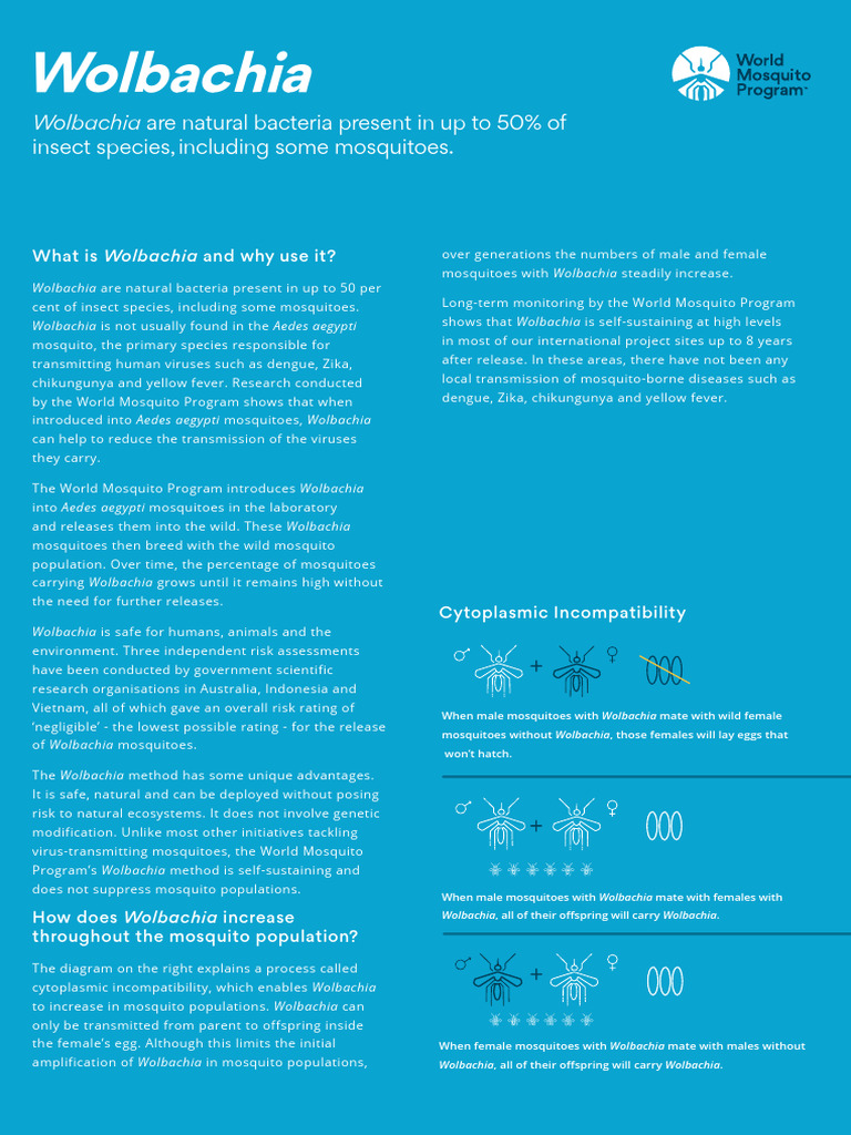 2023 WMP Wolbachia Fact Sheet - 1 | PDF | Aedes Aegypti | Mosquito