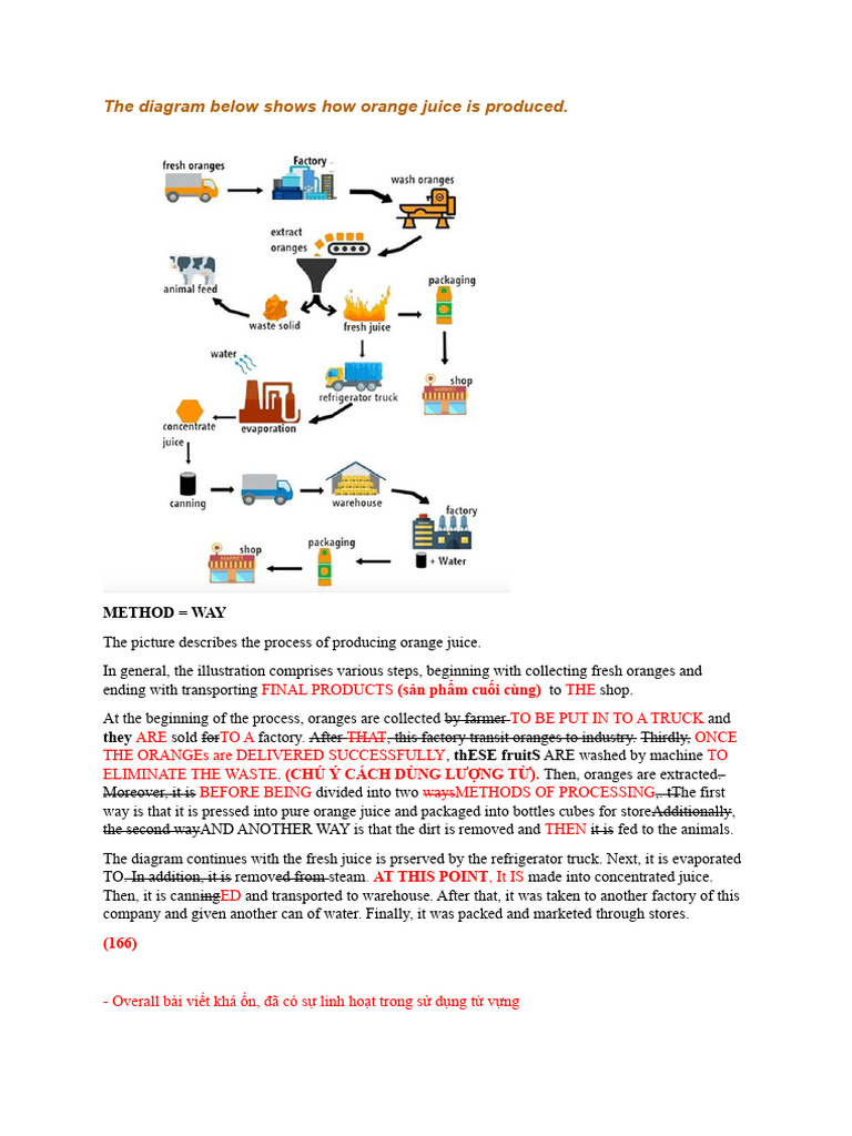 B35 (4) PROCESS | PDF | Tomato | Plastic