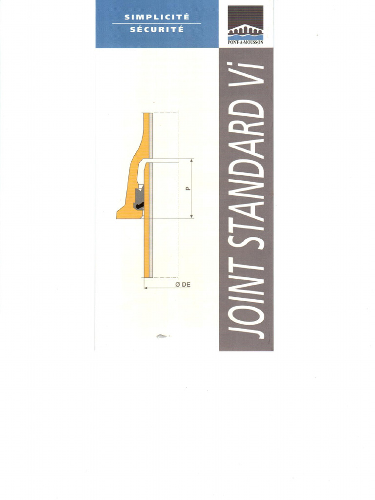 Joint Standard Vi | PDF