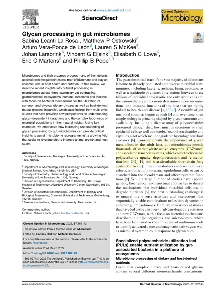 Glycan Processing in Gut Microbiomes | PDF | Polysaccharide | Bacteria