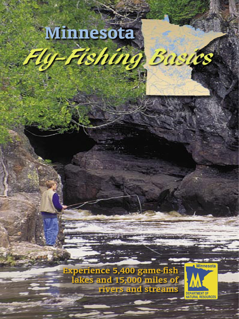 Fly Fishing Basics | PDF | Fly Fishing | Artificial Fly